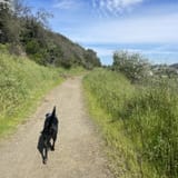 Getty View Trail, California - 907 Reviews, Map | AllTrails