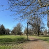 Pre's Trail, Oregon - 868 Reviews, Map | AllTrails