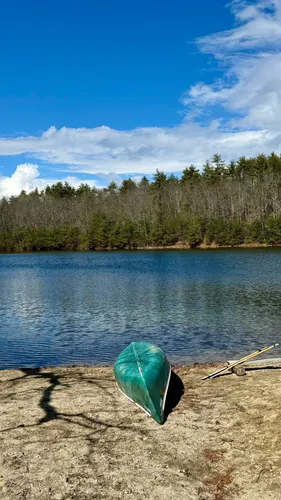 Best Forest Trails in Sebago Lake Land Reserve | AllTrails
