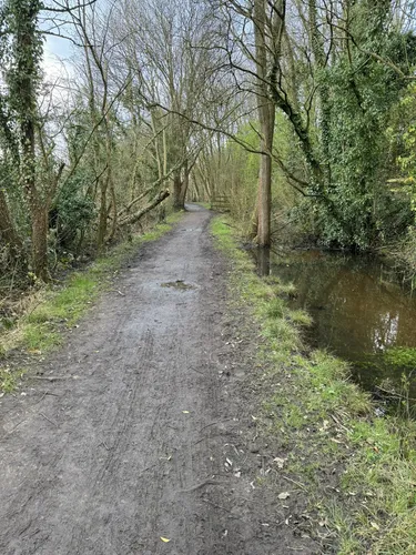 Best Hikes and Trails in Pennington Flash Country Park | AllTrails