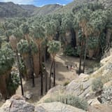 Palm Canyon Trail, California - 1,334 Reviews, Map | AllTrails