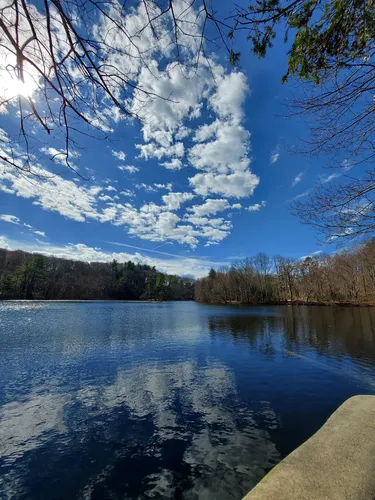 Best Lake Trails in Mill Neck | AllTrails