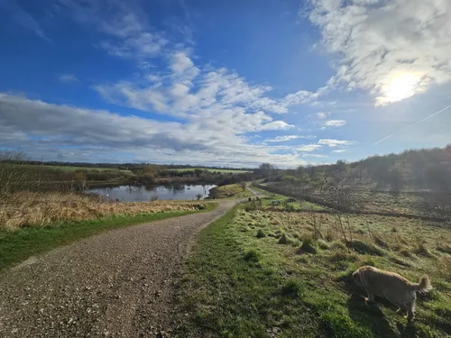 Best Hikes and Trails in Rabbit Ings Country Park | AllTrails