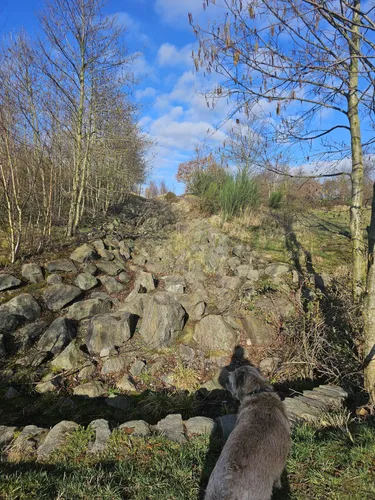 Best Hikes and Trails in Rabbit Ings Country Park | AllTrails