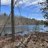 Ransom Lake Loop, Michigan - 256 Reviews, Map | AllTrails