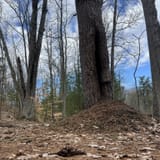 Ransom Lake Loop, Michigan - 256 Reviews, Map | AllTrails