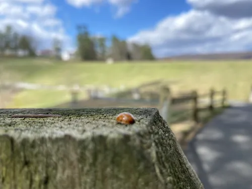 Best Hikes and Trails in Sweet Arrow Lake County Park | AllTrails