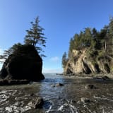 Third Beach Trail to Taylor Point, Washington - 1,118 Reviews, Map ...