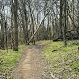 Mossy Ridge Trail Loop, Tennessee - 971 Reviews, Map | AllTrails