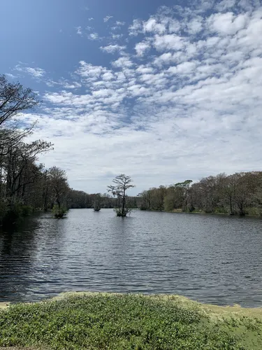 Best Hikes and Trails in Greenfield Park | AllTrails
