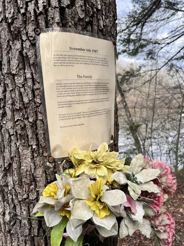 Best Hikes and Trails in Hemlock Overlook Regional Park | AllTrails