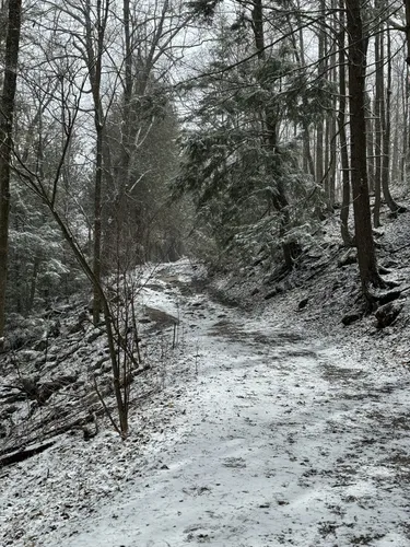 10 Best Hikes and Trails in Mono Cliffs Provincial Park | AllTrails