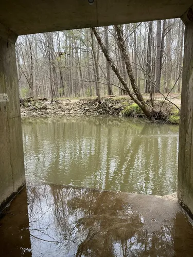 Carl Alwin Schenck Memorial Forest: de beste routes om te wandelen ...