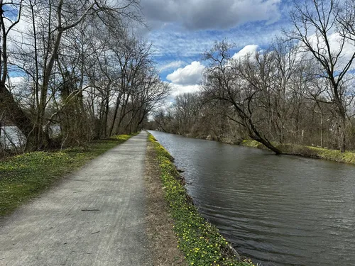 Best Forest Trails in Mont Clare | AllTrails