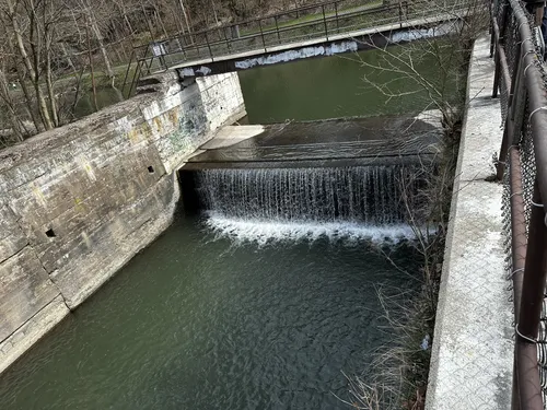 Best Forest Trails in Mont Clare | AllTrails