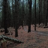 Midhurst Trail , Ontario, Canada - 1,544 Reviews, Map | AllTrails
