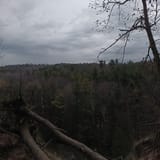 Midhurst Trail , Ontario, Canada - 1,544 Reviews, Map | AllTrails