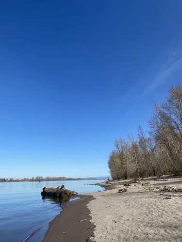 Best Hikes and Trails in Shillapoo Wildlife Recreation Area | AllTrails