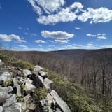 Wolf Rocks Trail, Pennsylvania - 1,327 Reviews, Map | AllTrails