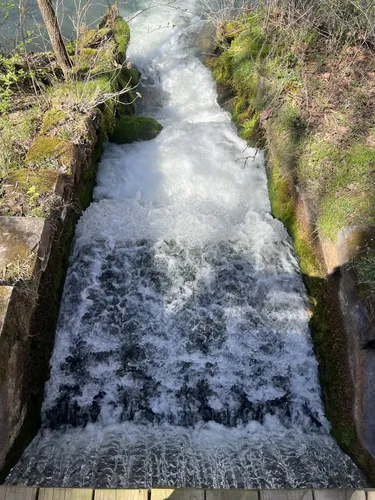 Best Hikes and Trails in Meramec Spring Park | AllTrails