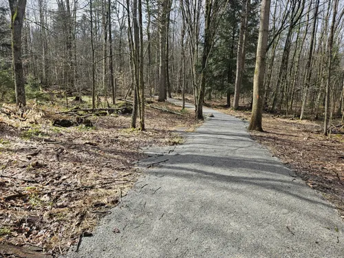 Best Hikes and Trails in Westford | AllTrails