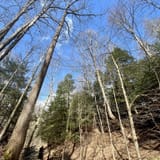 Salt Run, Ohio - 1,174 Reviews, Map | AllTrails