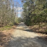 Arbutus Park and Raven Rookery Trail Loop , Massachusetts - 623 Reviews ...