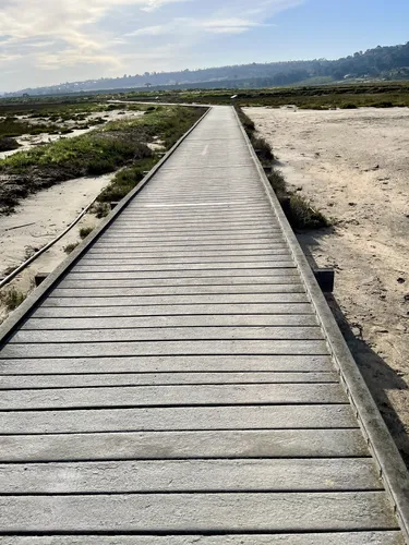 Best Beach Trails in Solana Beach | AllTrails