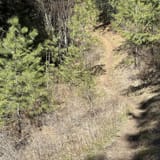 Headwaters Trail, Idaho - 813 Reviews, Map | AllTrails