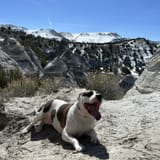 Teepee Rocks, Idaho - 54 Reviews, Map | AllTrails