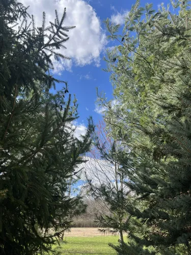 Best Hikes and Trails in Springboro | AllTrails