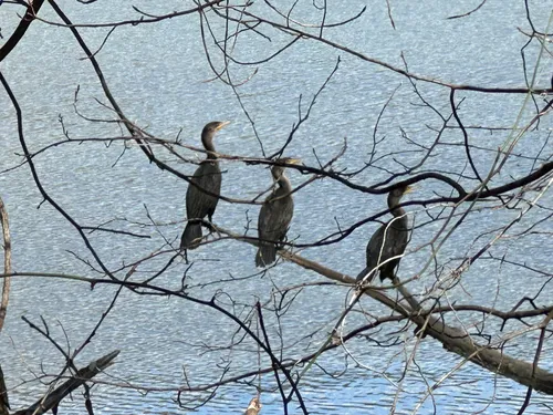 Best Views Trails in Lake Roland Park | AllTrails