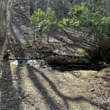 Black Ridge Trail, Virginia - 614 Reviews, Map | AllTrails