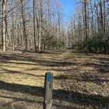Black Ridge Trail, Virginia - 614 Reviews, Map | AllTrails