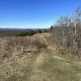 Black Ridge Trail, Virginia - 614 Reviews, Map | AllTrails