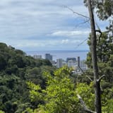 Makiki Valley Loop, Oahu, Hawaii - 5,641 Reviews, Map | AllTrails