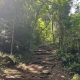 Makiki Valley Loop, Oahu, Hawaii - 5,605 Reviews, Map | AllTrails