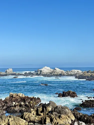 Best Hikes and Trails in Asilomar State Beach | AllTrails