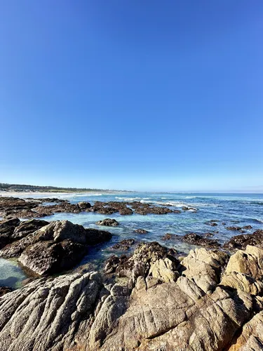 Best Hikes and Trails in Asilomar State Beach | AllTrails