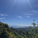 Cold Spring Loop, California - 2,145 Reviews, Map | AllTrails
