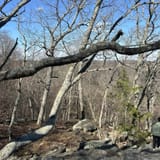 White Trail Loop, Maryland - 1,324 Reviews, Map | AllTrails
