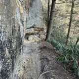 Indian Staircase Trail, Kentucky - 1,559 Reviews, Map | AllTrails