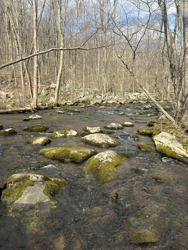 Best Cave Trails in Wildcat Ridge State Wildlife Management Area ...