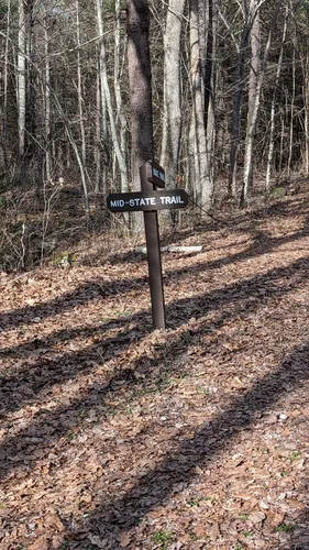 10 Best Easy Trails in Douglas State Forest | AllTrails