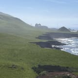 Point Buchon Trail, California - 608 Reviews, Map | AllTrails