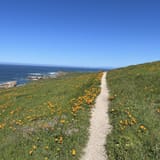 Point Buchon Trail, California - 608 Reviews, Map | AllTrails