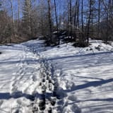 Hummocks Trail, Washington - 979 Reviews, Map | AllTrails