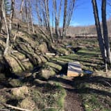 Hummocks Trail, Washington - 979 Reviews, Map | AllTrails