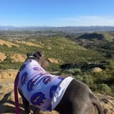 Autumn Ridge Trail, California - 397 Reviews, Map | AllTrails
