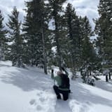 Green Mountain West Ridge Trail, Colorado - 6,103 Reviews, Map | AllTrails